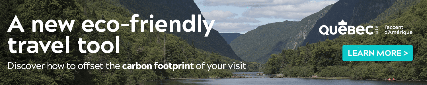 Groups and travel professionals - Carnaval de Québec